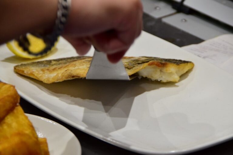 Gallery - Fish Union